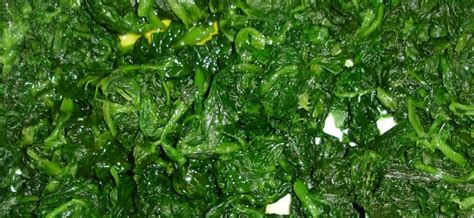 Recipes For The Apathetic Individual Tandemshock