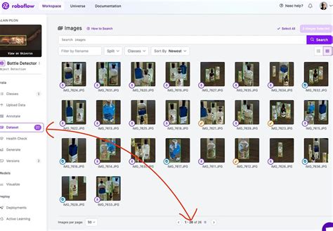 Dataset Section Missing Picture 🤝 Community Help Roboflow