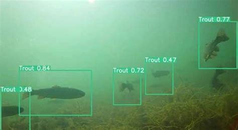 Prathibha Kommu On Linkedin Yolo Objectdetection Machinelearning Artificialintelligence