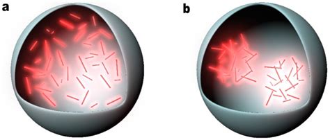 A Mole Concentration Only Represents The Amounts Of Individual Units Download Scientific