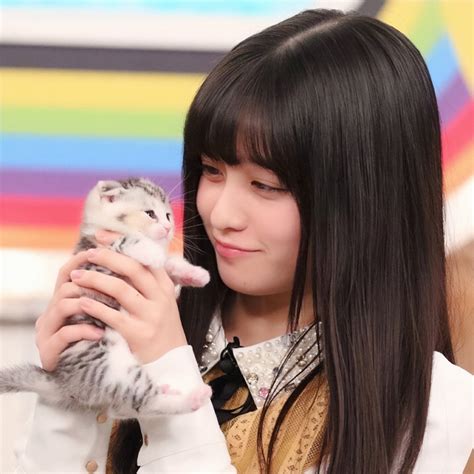 桥本环奈 堆糖美图壁纸兴趣社区