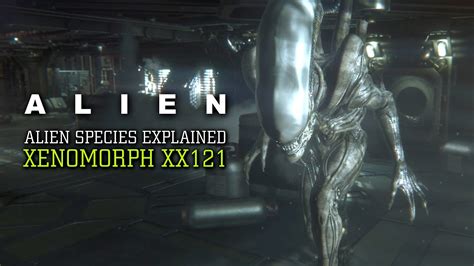 The Xenomorph Xx121 Alien Species Explained Youtube