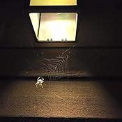 TCP W Equivalent LED Yellow Bug Light Bulbs Non Dimmable Amazon Com