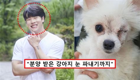 유재석이 소속사에 꽂아줬다 Kbs 개그맨 사칭남 소름 돋는 정체 강아지 학대까지