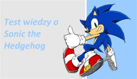 Test Wiedzy O Sonic The Hedgehog Samequizy