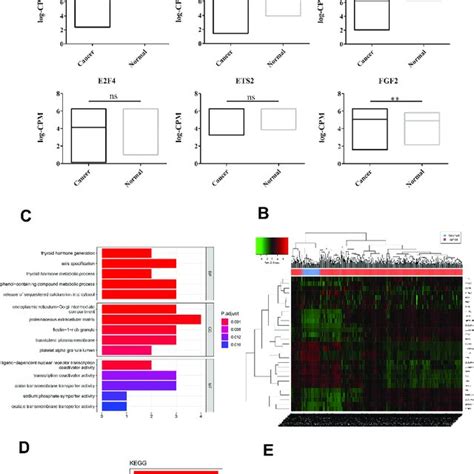 A Comparative Analysis Between Rt 2 Profiler Pcr Arrays Test And Tcga Download Scientific