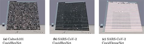 Third Training Strategy Activations Of The Last Convolutional Layer Download Scientific