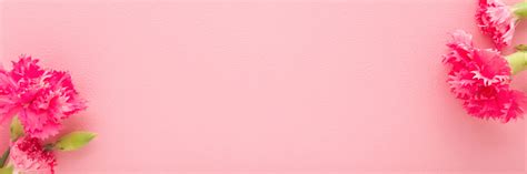 신선한 아름 다운 부드러운 분홍색 카네이션 꽃 머리 밝은 분홍색 테이블 배경 파스텔 색상 와이드 배너 근접 촬영 영감을 주는 텍스트 사랑스러운 인용문 또는 속담을 위한 빈