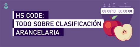 Hs Code Guía Completa Sobre La Clasificación Arancelaria