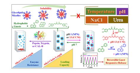 Impact Of Glycolipid Hydrophobic Chain Length And Headgroup Size On