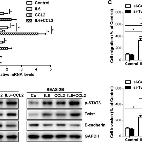 Pdf The Ccl2ccr2 Axis Enhances Il 6 Induced Epithelial Mesenchymal