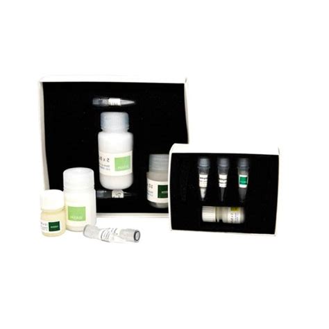 Durable Lysozyme Reagent Kit Sale Or Rent Near Me Goldstar Medical