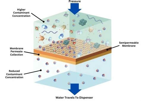 Does Reverse Osmosis Remove Bacteria The Truth Freshnss