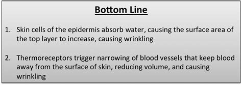 The Science Parking Lot The Case Of The Pruney Fingers Toes In Water