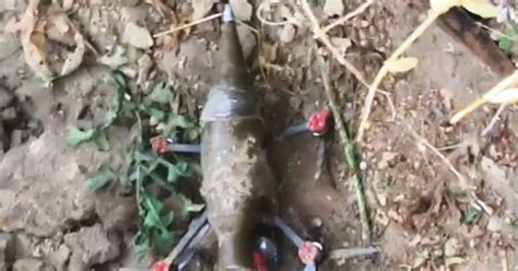 Воин Джокер приземлил Fpv дрон с боеприпасом Новости Bigmir Net