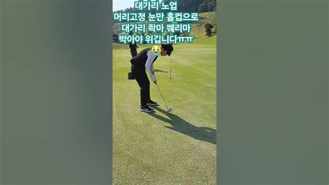 딱1미터 위깁니다ㅠㅠ 골프레슨 아이언레슨 필드레슨 골프 골프존 퍼터 퍼팅 퍼터레슨 퍼팅레슨 비거리레슨 드로우샷 페이드샷 드라이버