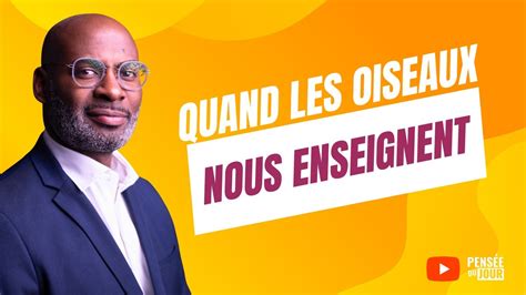 Quand Les Oiseaux Nous Enseignent Pensée Du Jour Adventisteffn 🙏🏼