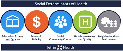 Big Data In Healthcare Revolutionizing Healthcare Data Analytics