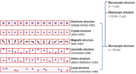 Structure Hierarchy And Classification Of Microscopic Structures Pink Download Scientific