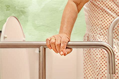 How To Install Toilet Safety Rails At Patrick Oala Rarua Blog