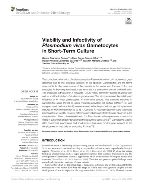 Pdf Viability And Infectivity Of Plasmodium Vivax Gametocytes In