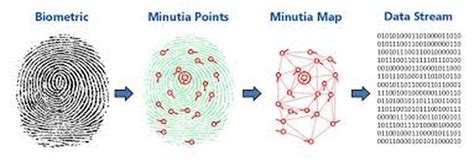 Science Behind Biometrics Biometrics Information