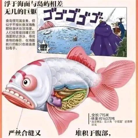 海贼王怪物图鉴，一些怪物的修改设定 程序什么怪物