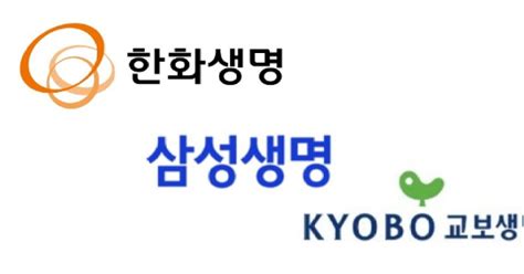 생보 빅3 파생상품 평가액 반토막 났다