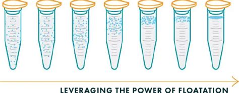 Flow Cytometry Sample Preparation Protocols Optimize Workflows