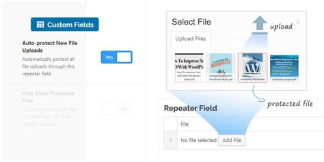 Advanced Custom Fields Acf Integration Prevent Direct Access