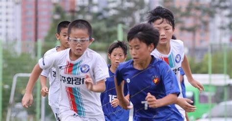 화랑대기 전국유소년축구대회 팡파르전국 501개팀 참여