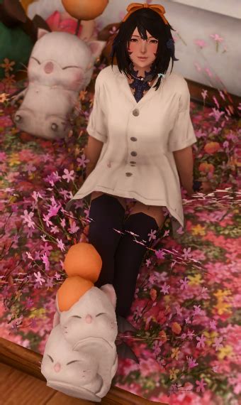 Cozy Moogle Eorzea Collection