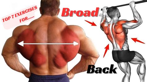 Top Effective Exercises For A Broader Back In Bodybuilding