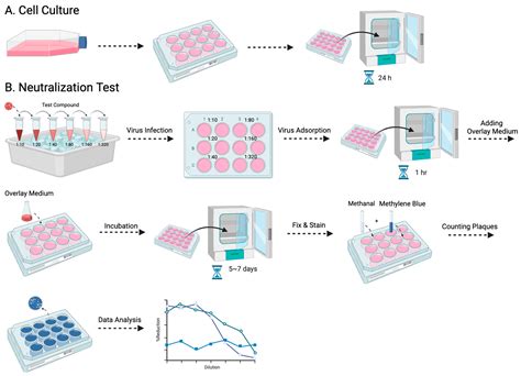 Utility Of An In Vitro Micro Neutralizing Test In Comparison To A