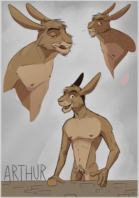 Rule 34 Anthro Casual Nudity Flaccid Fur Genitals Hi Res Humanoid