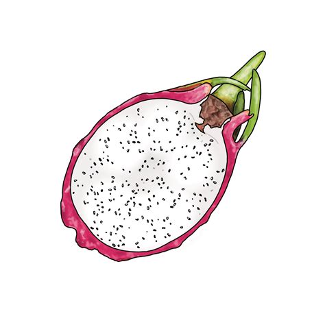 Dragonfruit Poster Fruit Wall Art Printable Realistic Print Aesthetic