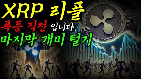 리플 속보 Xrp 리플 폭등 직전 마지막 개미 털기 입니다 Youtube