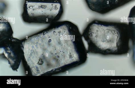 Microscope Sugar Stock Videos And Footage Hd And 4k Video Clips Alamy