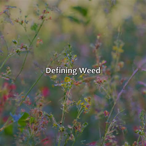 What Color Is Weed