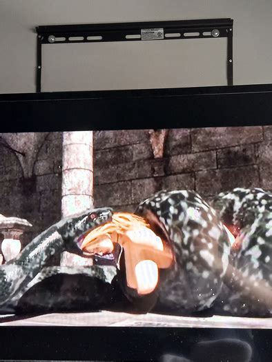 Snake Image Thisvid Tube