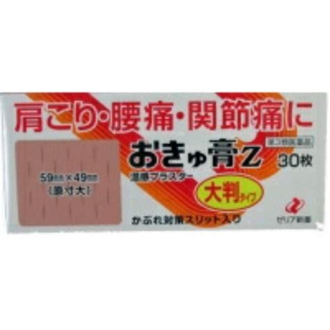おきゅ膏Z大判タイプ 30枚 ウェルネスライフ