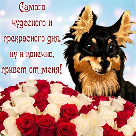 Картинки и Открытки с Пожеланиями - бесплатно скачать