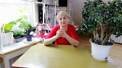 Мясистые и сладкие Давлекановские Башириной Youtube