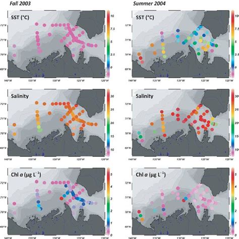 Spatial Distribution Of Sea Surface Temperature Sst In °c Salinity Download Scientific