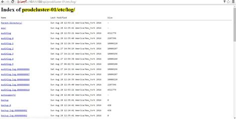 Remote Infrastructure Management NetApp ONTAP Cluster Log And Performance Management