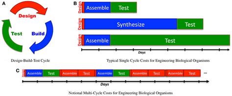 When Analyzing Synthetic Biology Against A Classic Design Build Test Download Scientific
