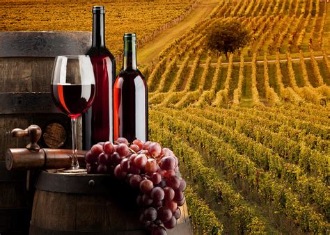 Le proprietà del Vino meglio Rosso o Bianco Cultura Culture per