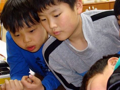 꽃술 하나 꽃술 하나큰꿈 가꾸는 작은학교 양평 조현초교남양주뉴스