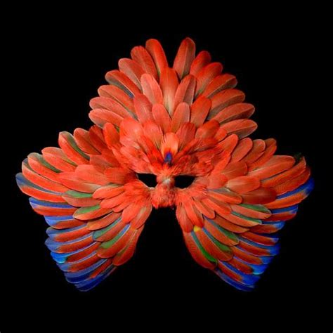 Feather Fantasies Masks By Lorra Lee Rose