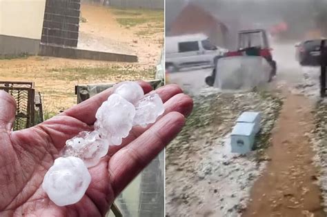 Роденденски НЕВРЕМЕТО ВЕКЕ ПРИСТИГНА ГИ ЗАФАТИ ОВИЕ ДЕЛОВИ Грми врне ПОВЕЌЕ НА ЛИНКОТ ВО